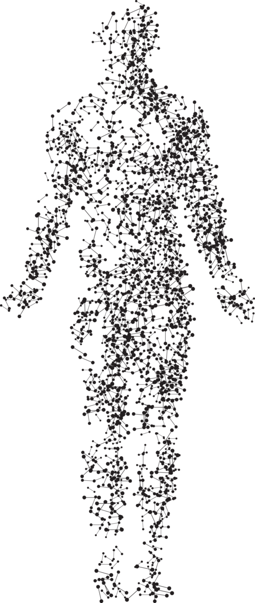 Startseite - Barbara Furrer - Akupunktur Zug